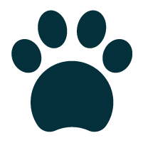 PawSQL for VSCode - Visual Studio Marketplace